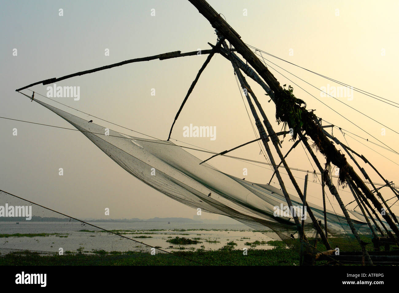 traditional chinese fishing nets at dawn kochi india Stock Photo - Alamy