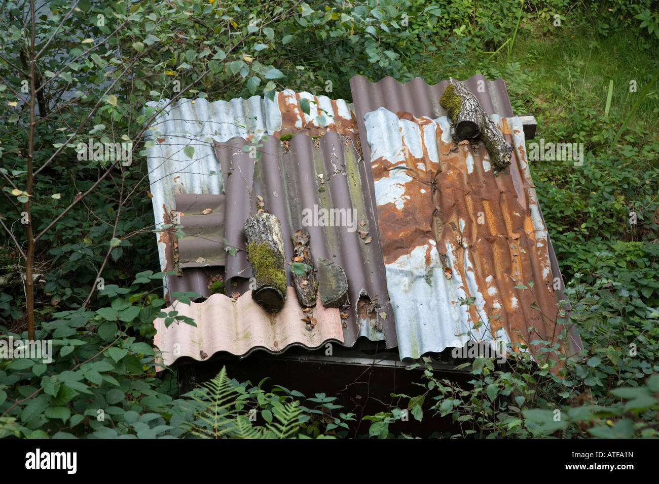 Rusty Metal in the Forest Stock Photo - Alamy