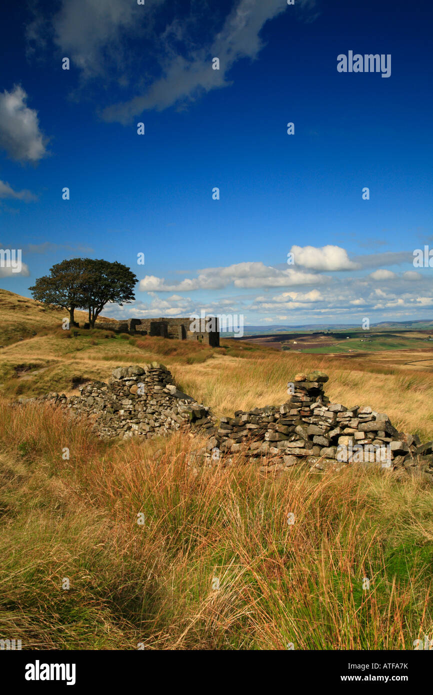 Top withens summer hi-res stock photography and images - Alamy
