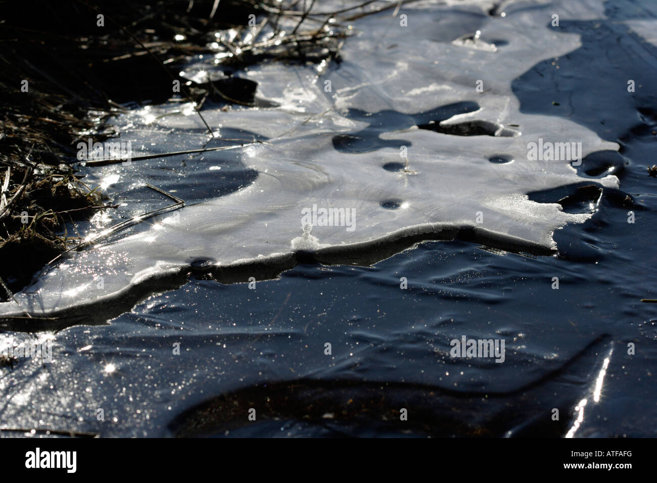 Icy art Stock Photo: 16301331 - Alamy