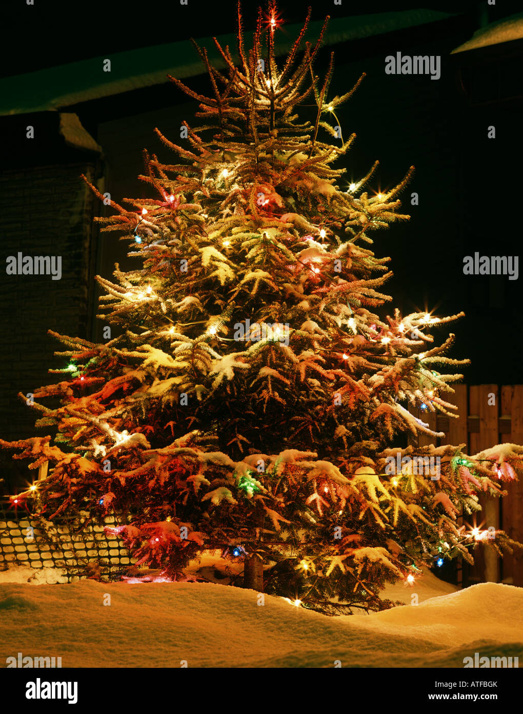 Tree Festive Lights High Resolution Stock Photography and Images - Alamy