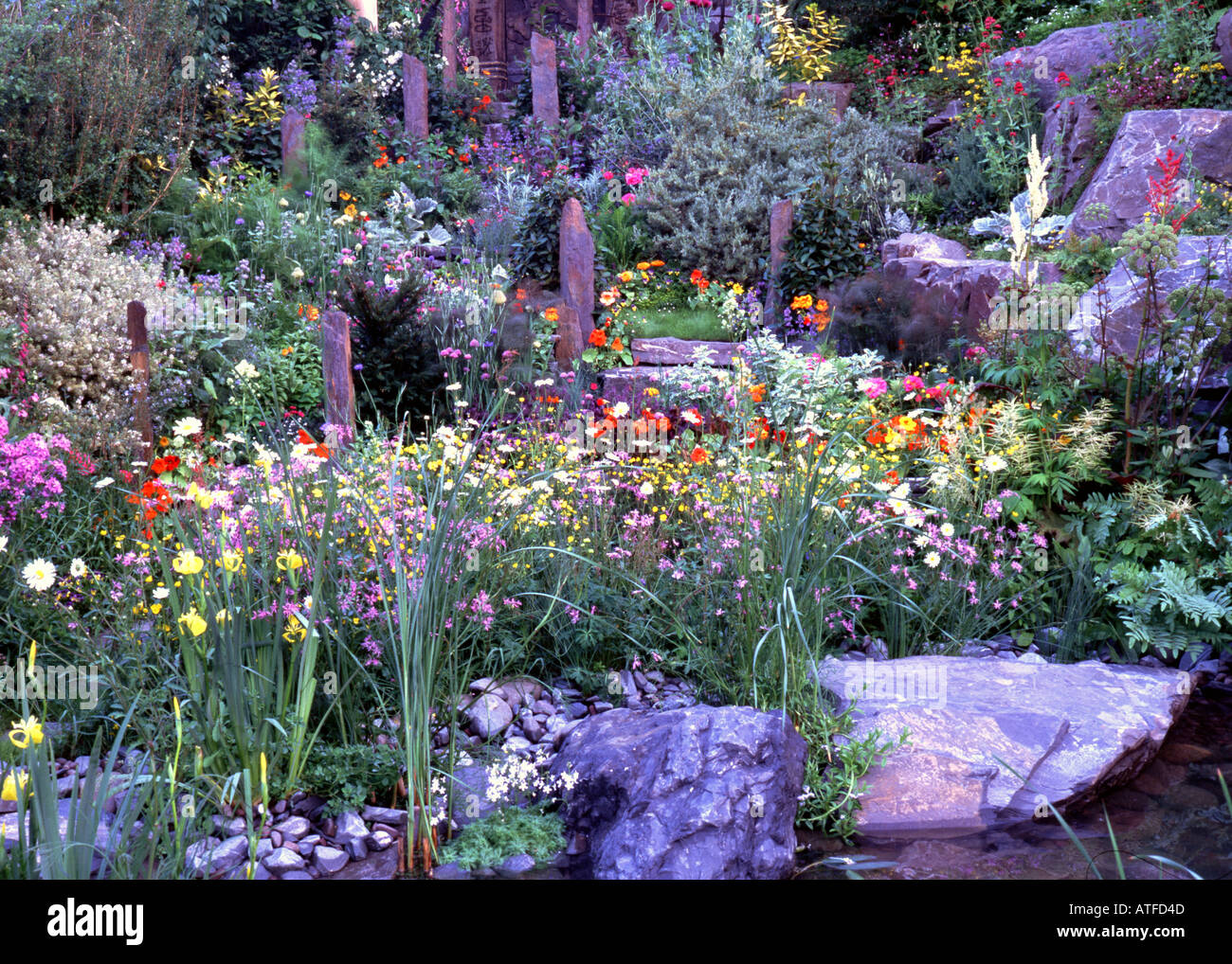 Merlin to medicine hi-res stock photography and images - Alamy