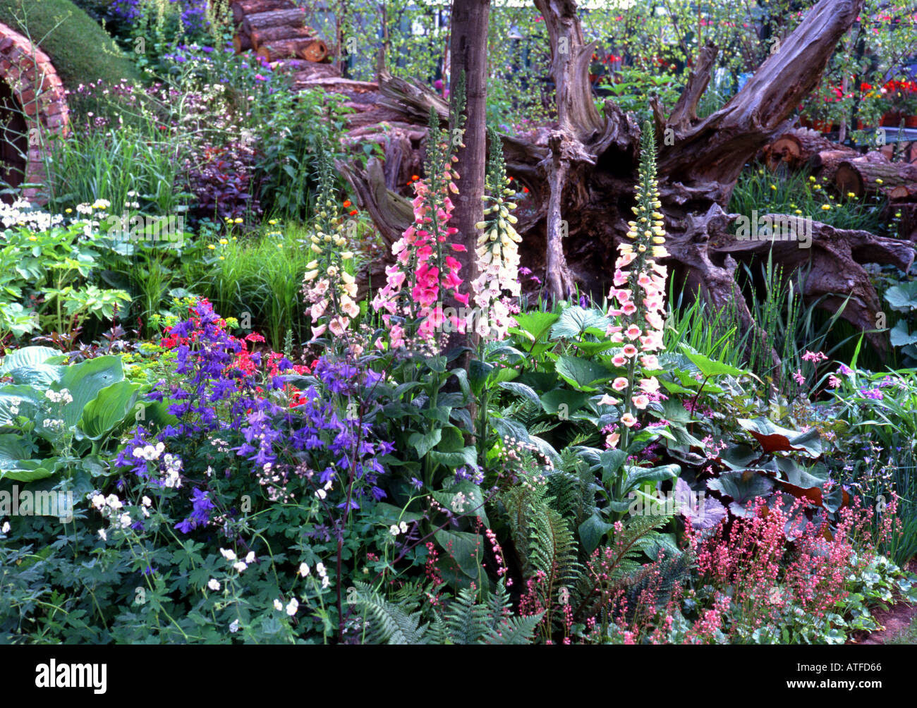 Now and Zen Courtyard Garden designed Tim Dann with Scott Beadle ...