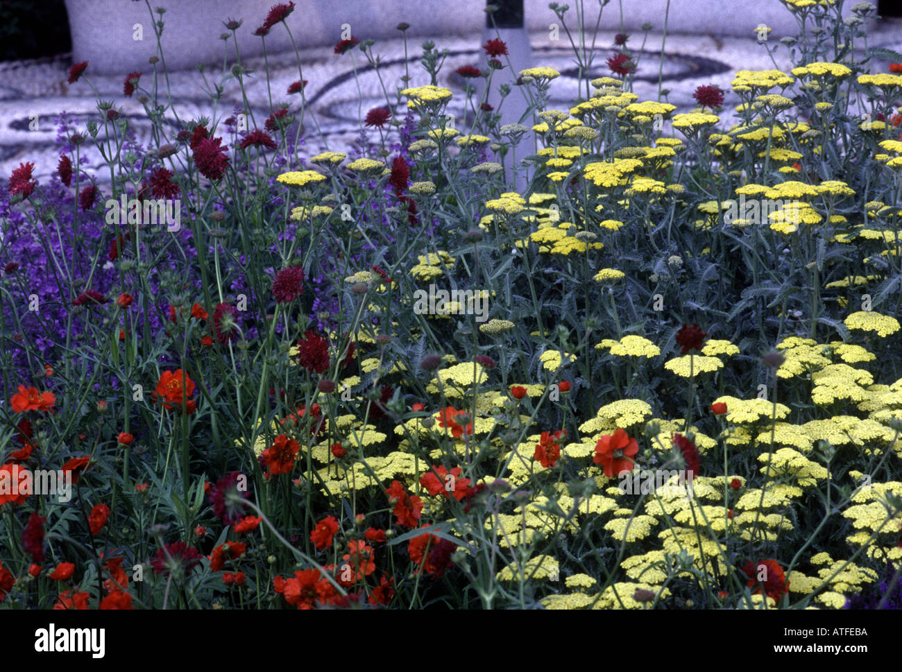 Cancer reserch garden planted in hot colours including Papaver ...