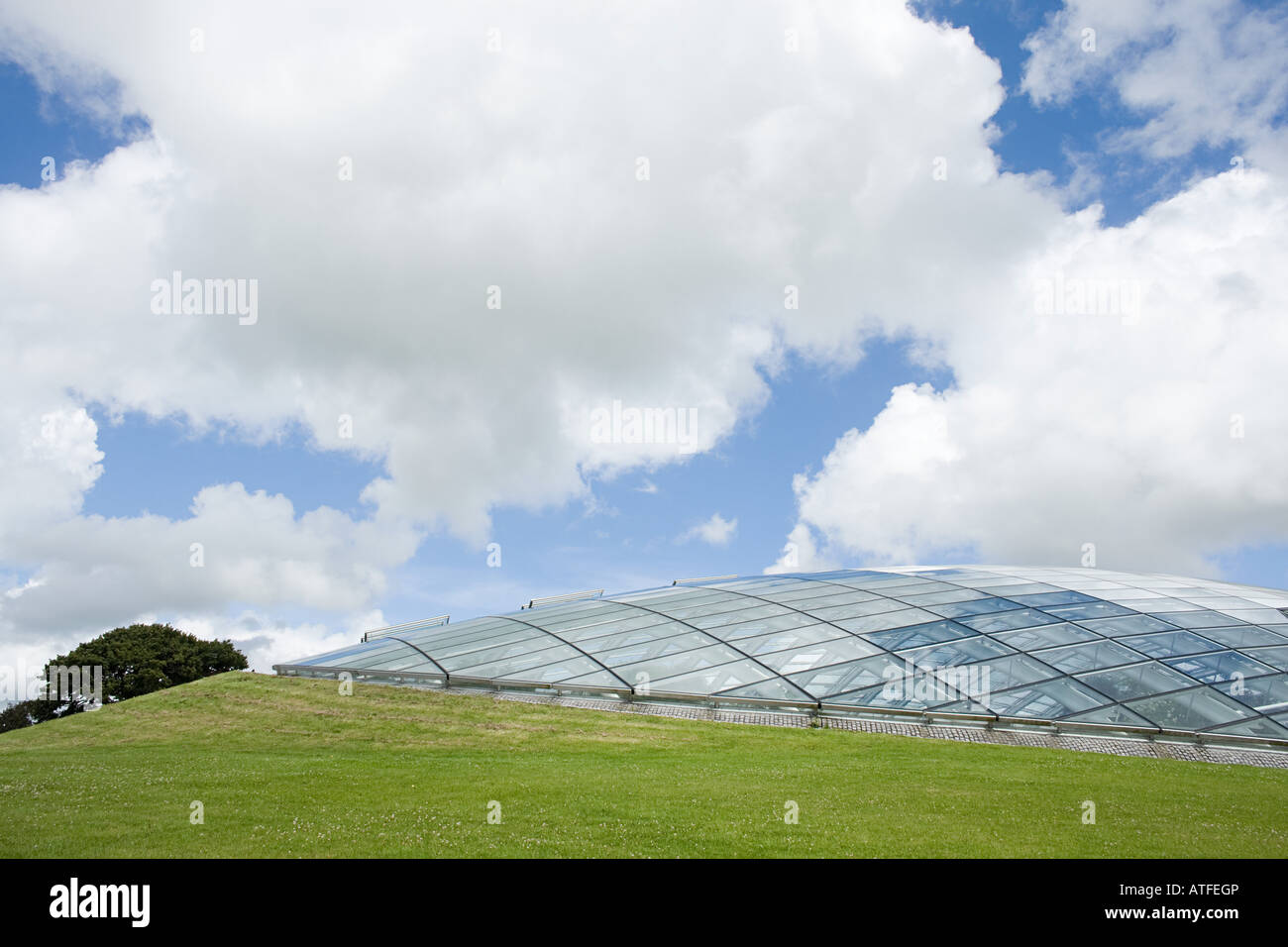 Botanic e hi-res stock photography and images - Alamy