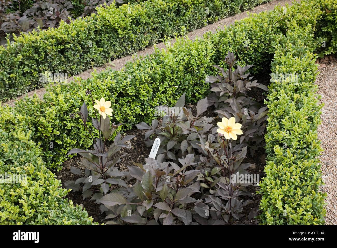Topiary plants hi-res stock photography and images - Alamy