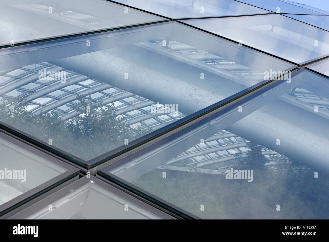 Windows of a large greenhouse Stock Photo - Alamy