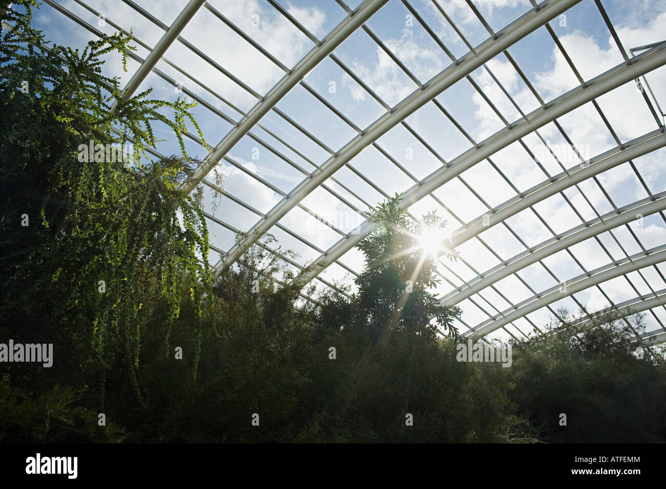 Sunlight through large greenhouse Stock Photo - Alamy