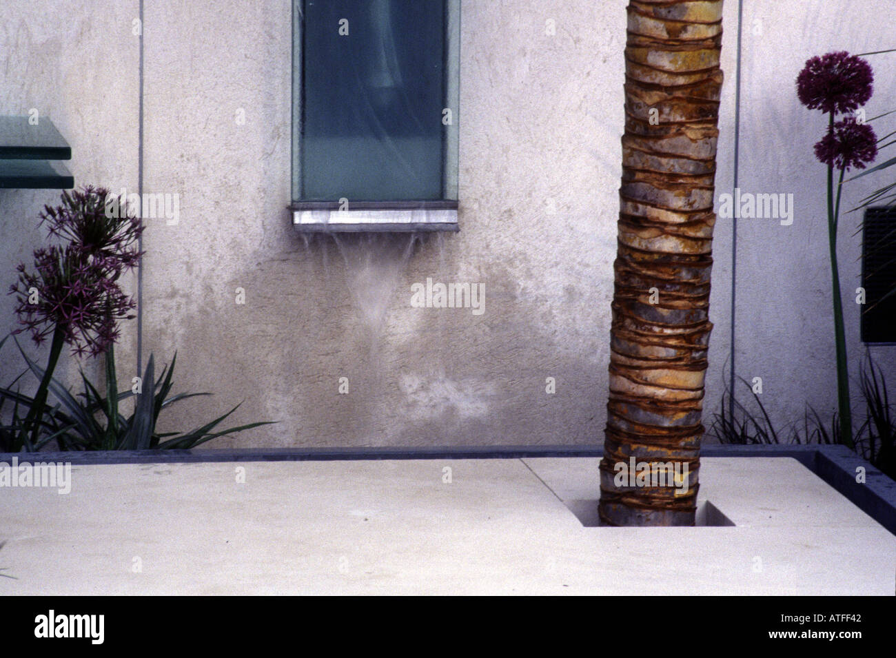 Ornamental tree park with water feature Stock Photo - Alamy