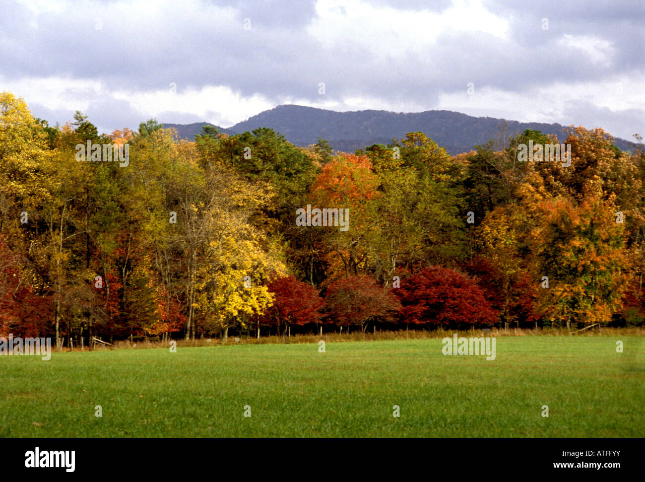 TN Tennessee Great Smoky Mountains National Mtns Cades Cove Fall color ...