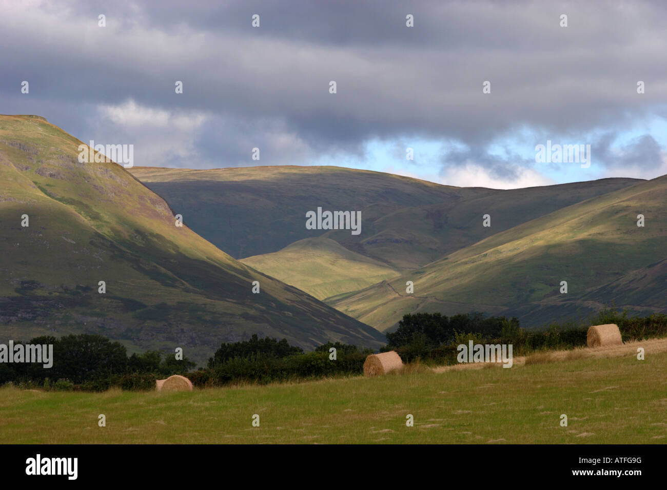Looking northwards at harvest time towards Alva Glen in the Ochil Hills ...