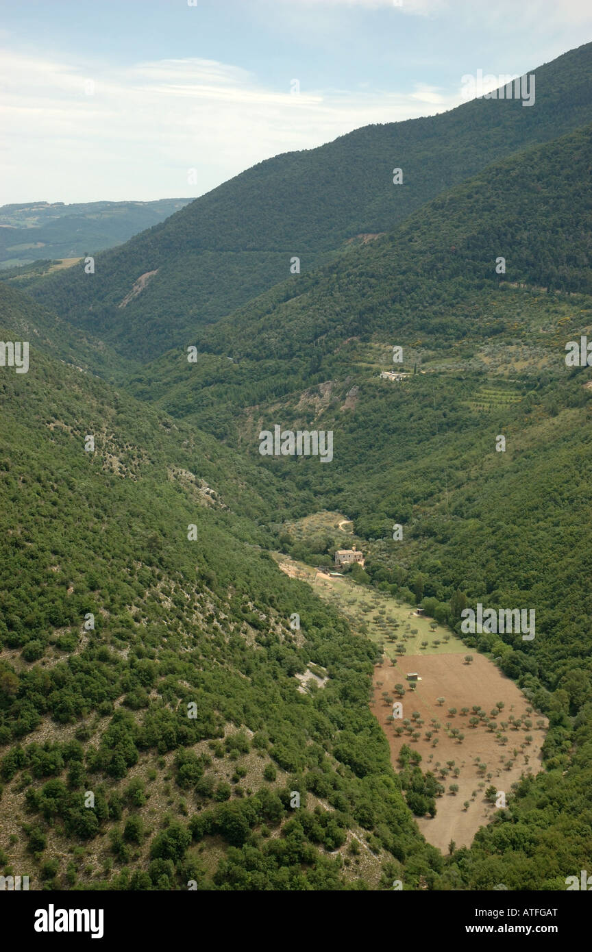 Valley of Olive trees Stock Photo - Alamy