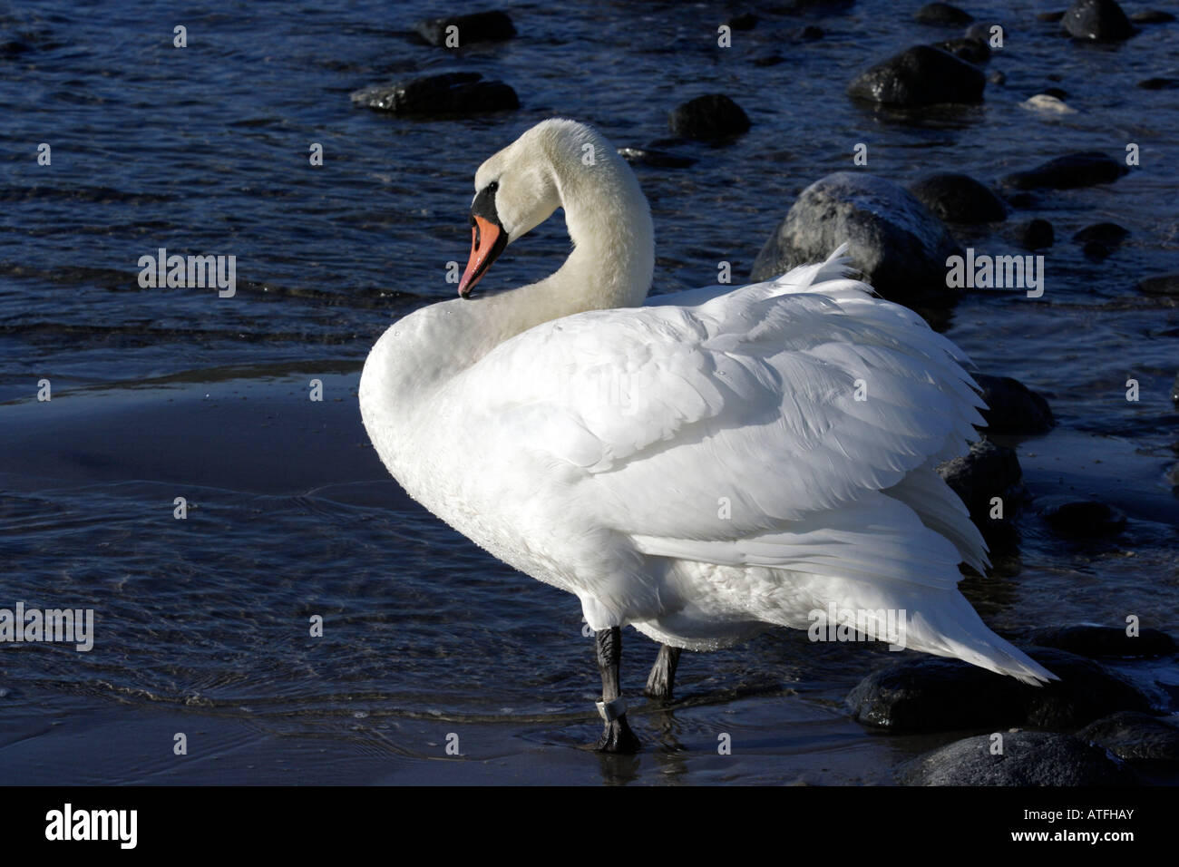 Temperatures curious hi-res stock photography and images - Alamy
