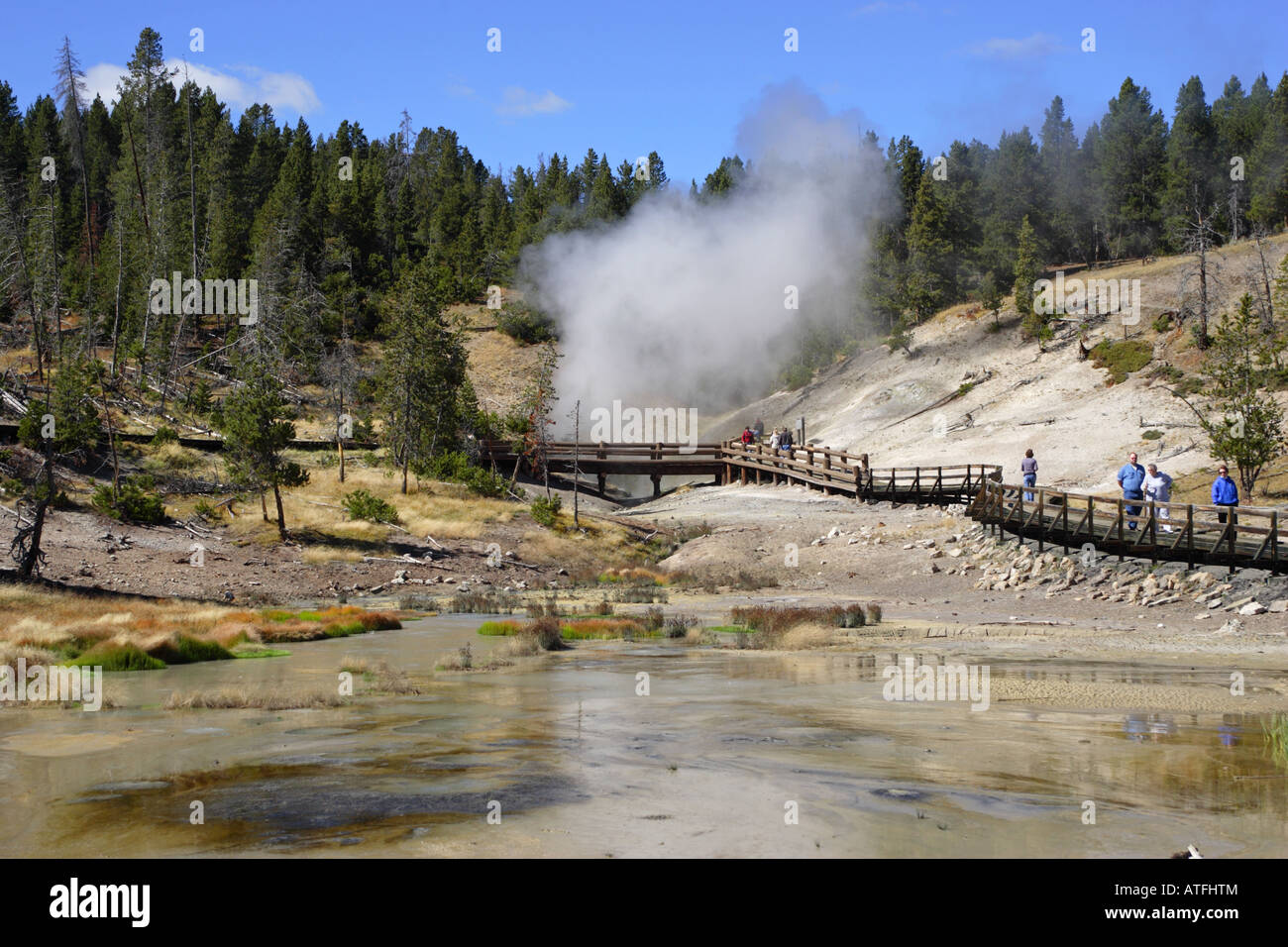 Geyser activity in Yellowstone national Park USA Stock Photo - Alamy