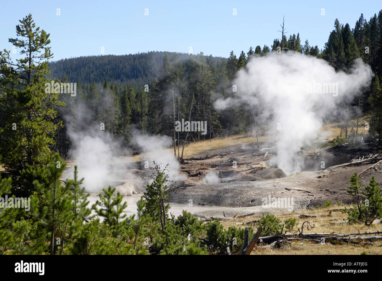 Geyser activity in Yellowstone National Park USA Stock Photo - Alamy