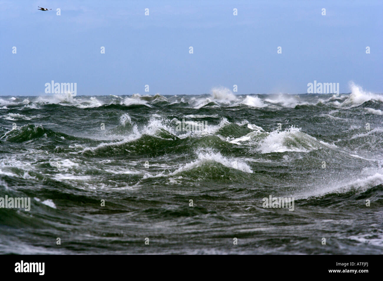 Waves from two meeting seas Stock Photo - Alamy