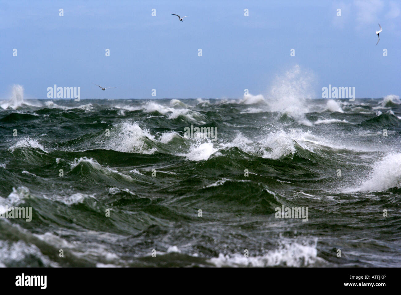 Rapid movement from surface water hi-res stock photography and images ...