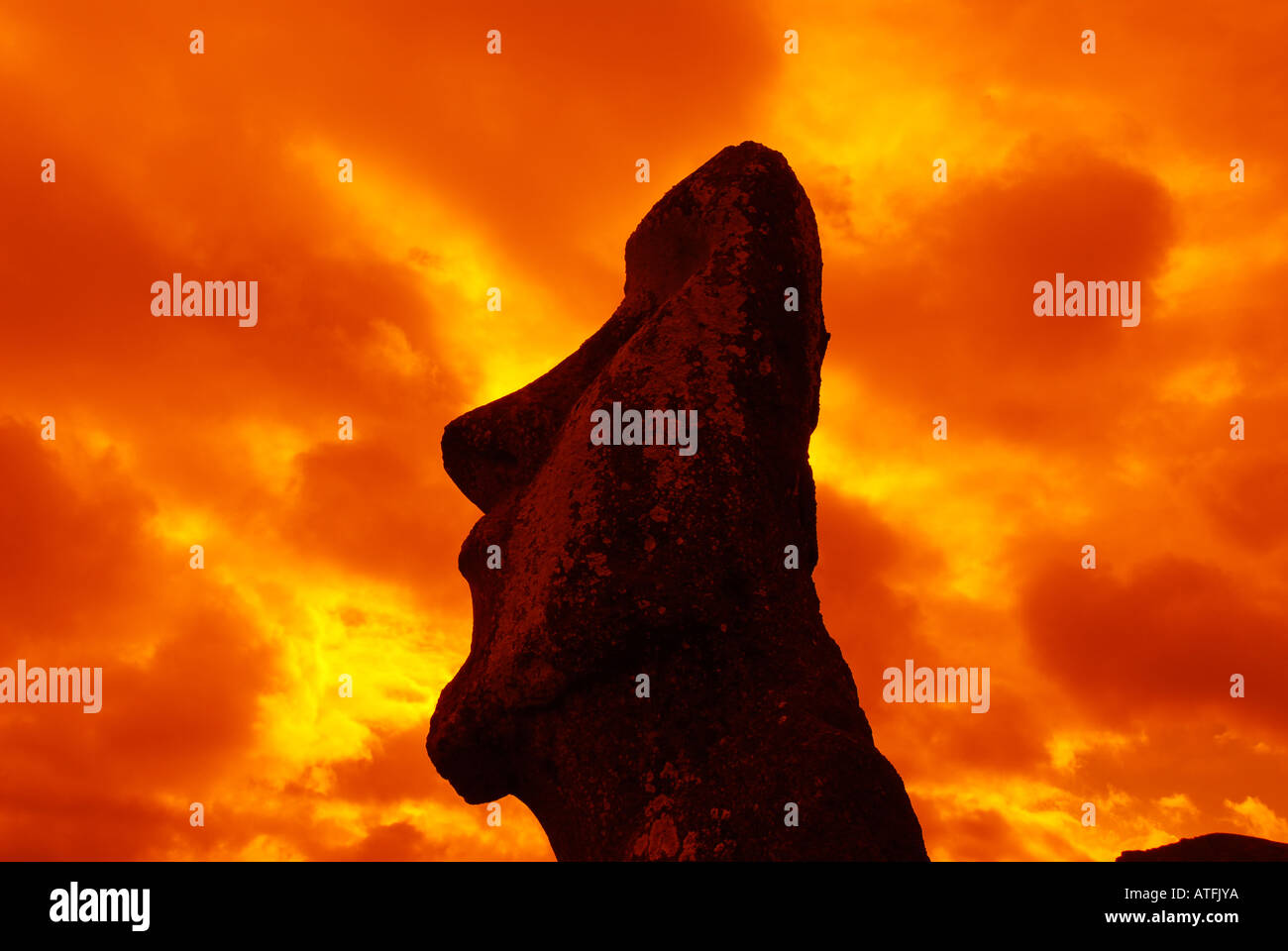 Chile Easter Island statue long ear moai face Ahu Tongariki Stock Photo ...