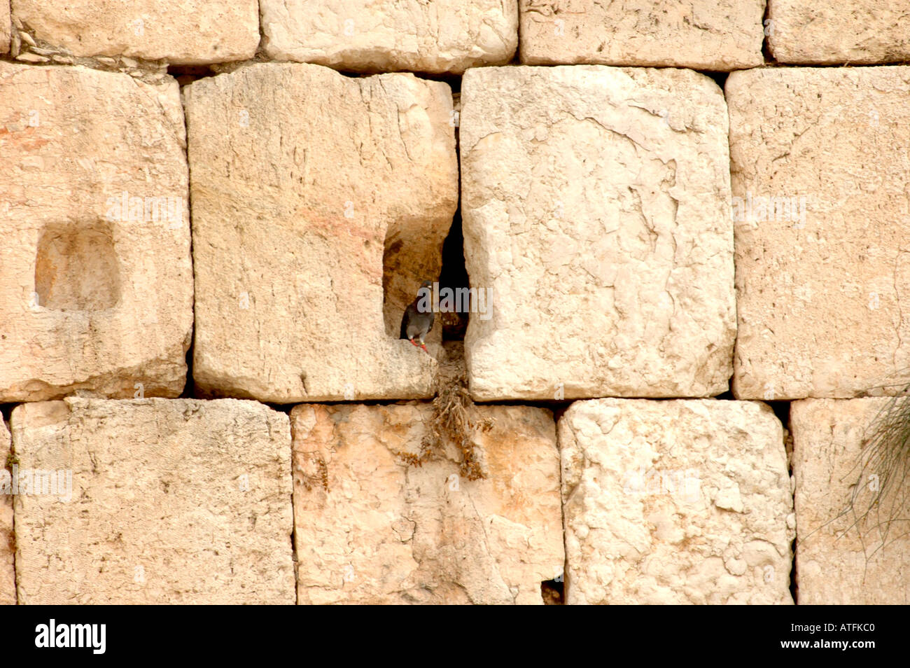 Jerusalem, Israel details of the stones in the wailing wall Stock Photo ...