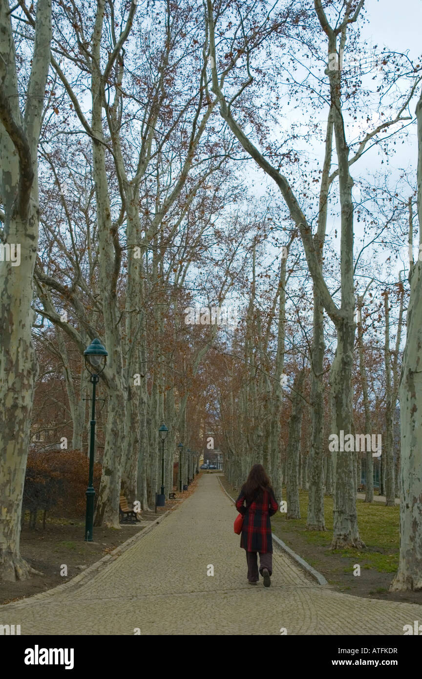 Woman walking through autumn leave hi-res stock photography and images ...
