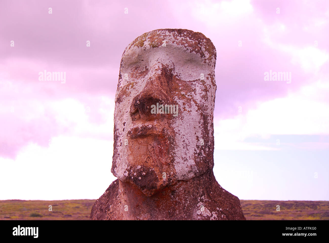 Chile Easter Island statue long ear moai face Ahu Tongariki Stock Photo ...