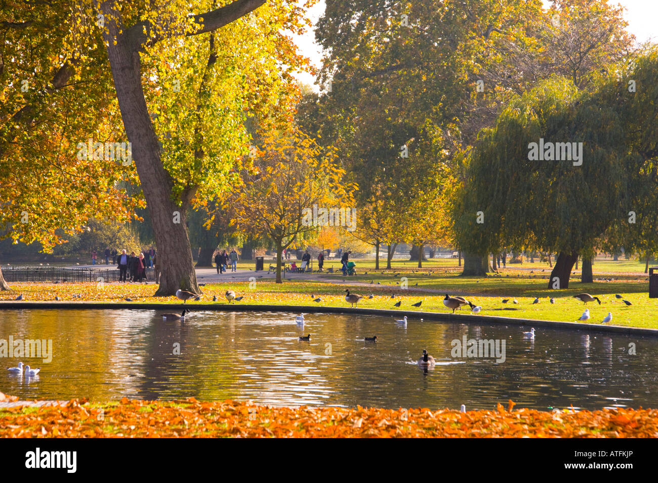 autumn in regents park london england Stock Photo - Alamy