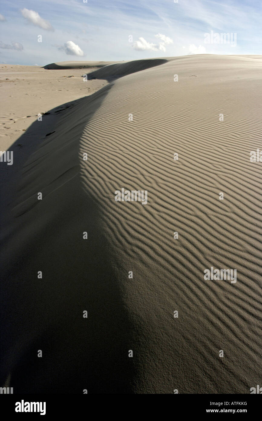 Overwhelming patterns hi-res stock photography and images - Alamy