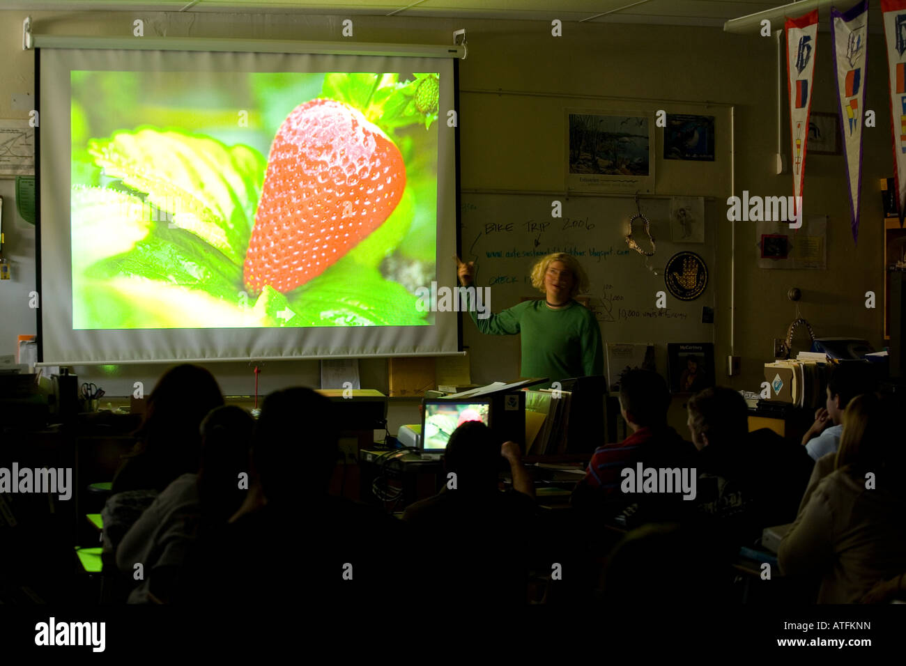 a teacher presents a slideshow with beautiful imagery Stock Photo - Alamy
