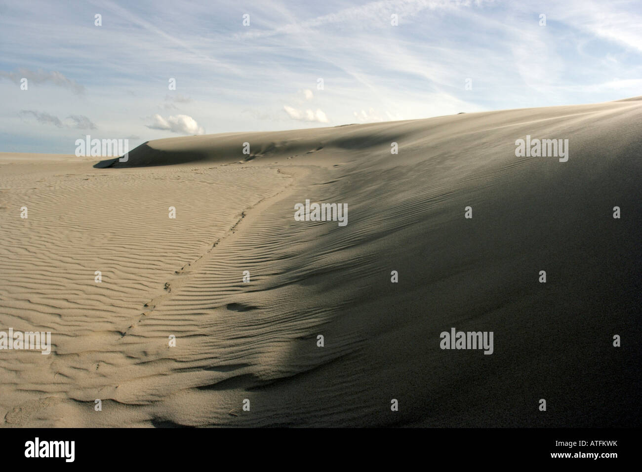 Overwhelming patterns hi-res stock photography and images - Alamy