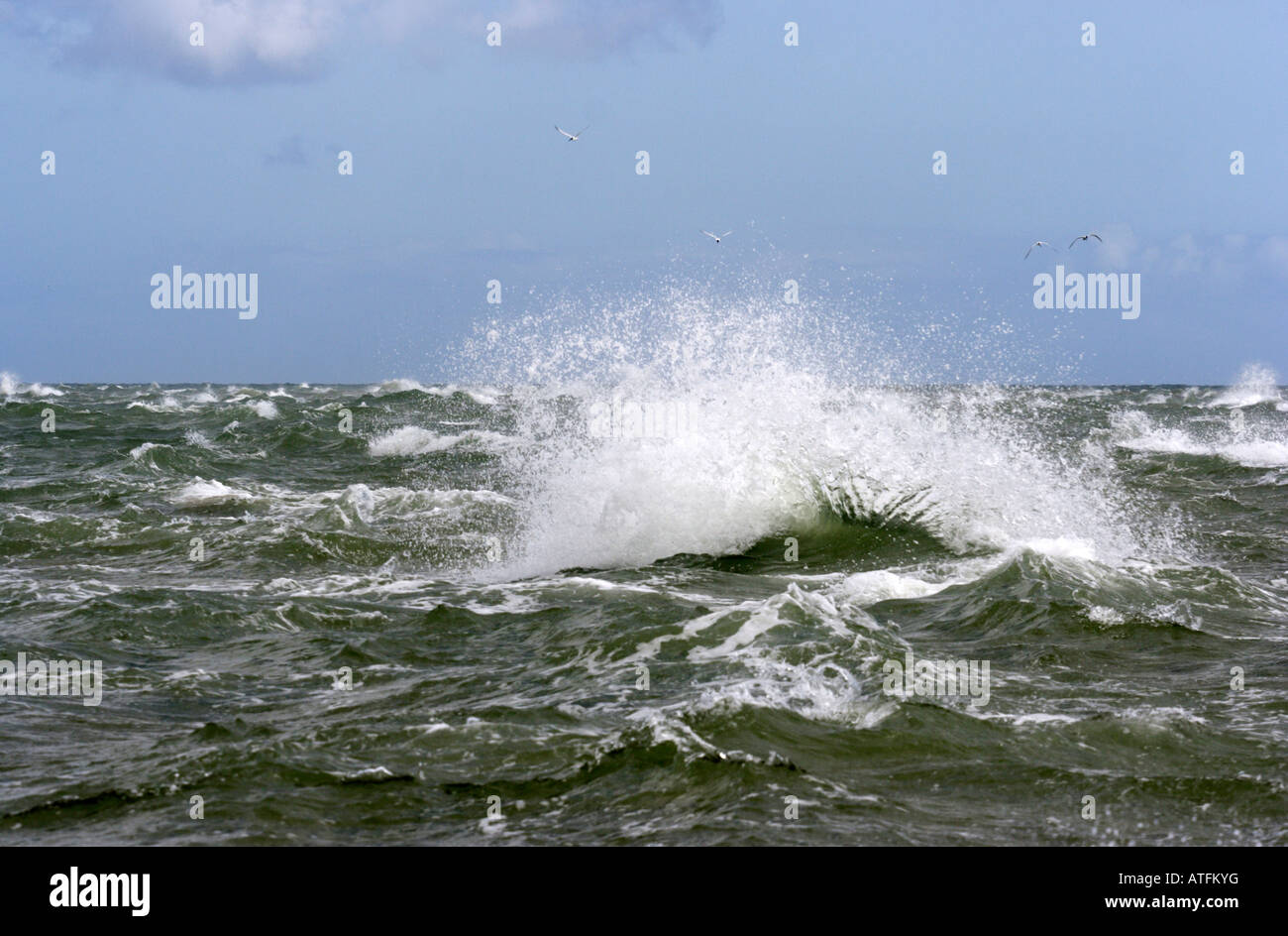 Waves from two meeting seas Stock Photo - Alamy