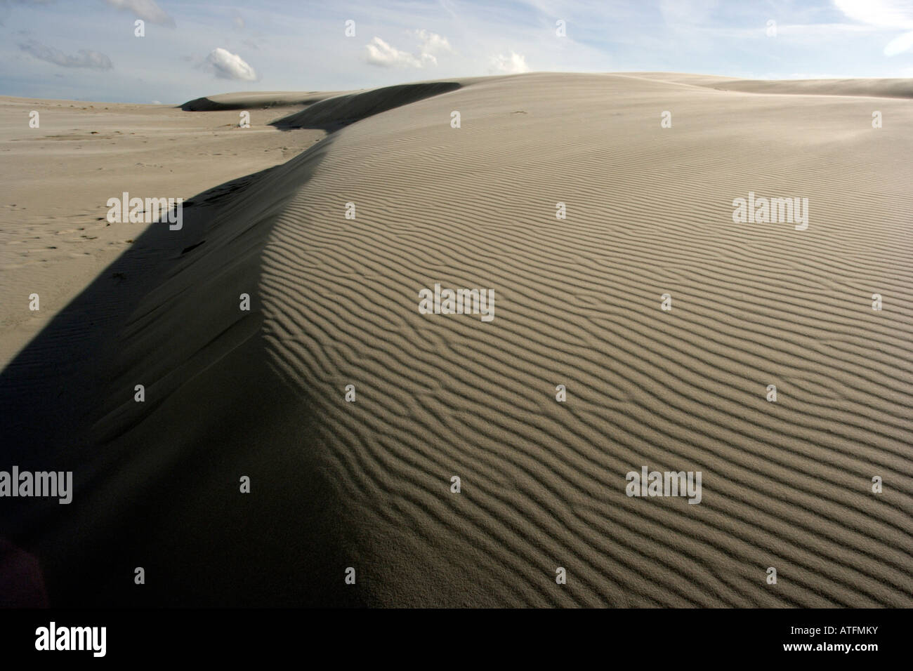Overwhelming patterns hi-res stock photography and images - Alamy
