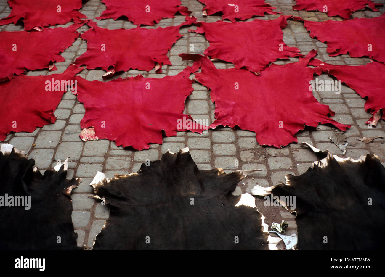 Hides drying after tanning, Fes el-Bali (Old Fes)Morocco Stock Photo ...