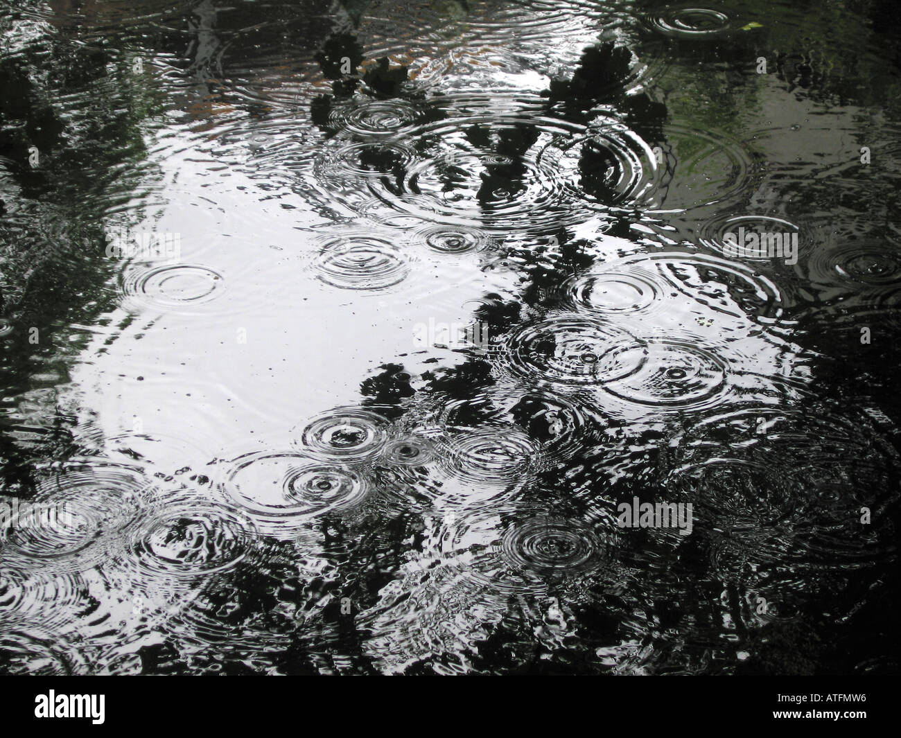 Raindrops and circular ripples in water Stock Photo - Alamy