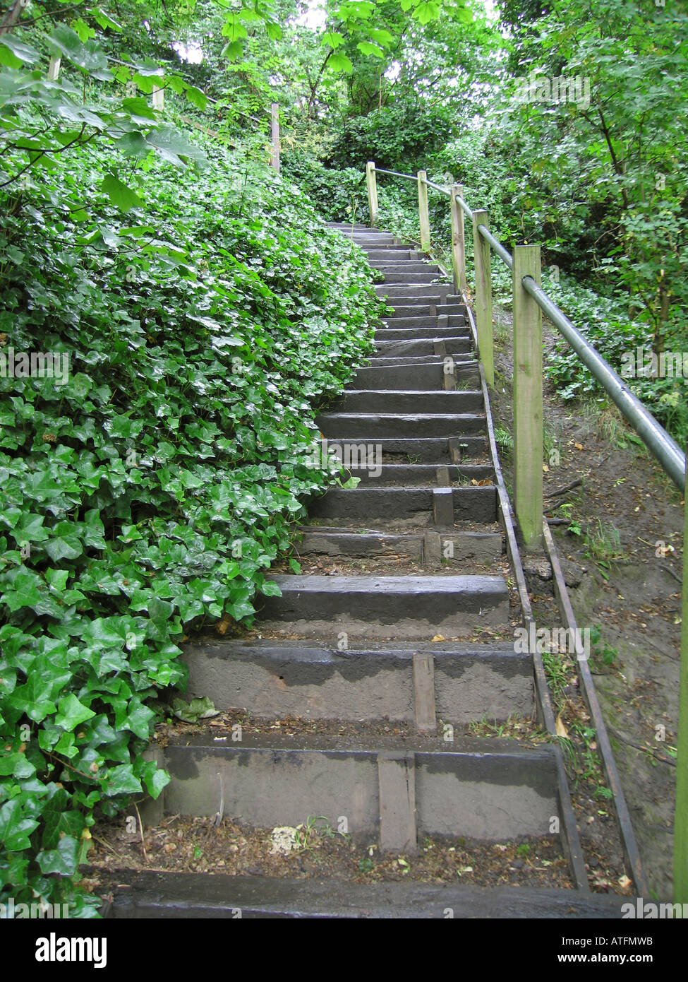 Wooden steps on country path Stock Photo - Alamy