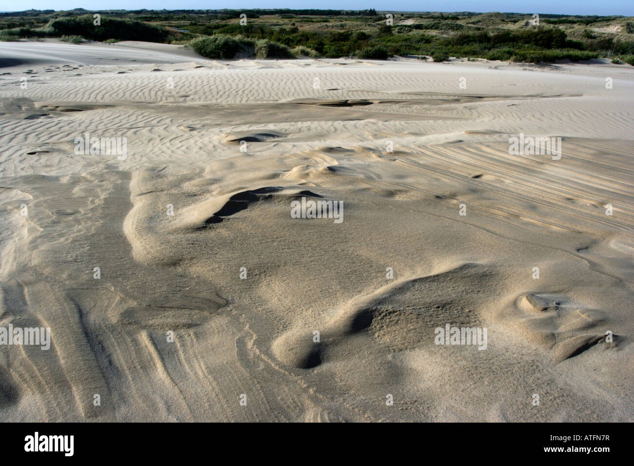 Decorative patterns in desert landscape Stock Photo - Alamy