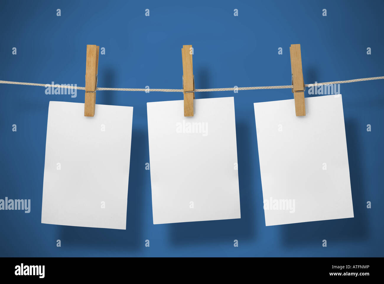Developing picture Isolated on a clean blue background in a darkroom ...