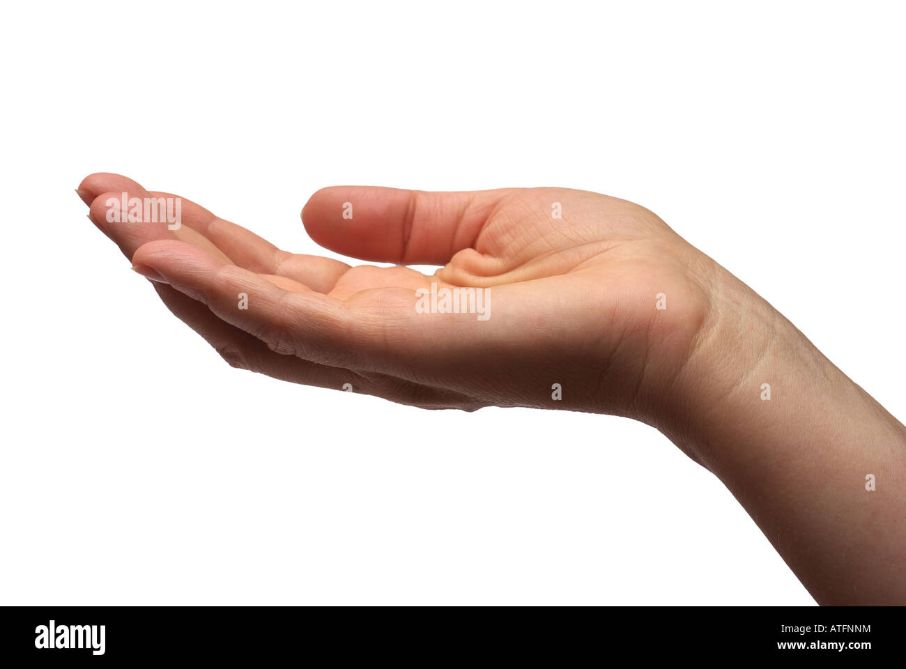 Human hand held up Awaiting a gift Isolated on white background Stock ...