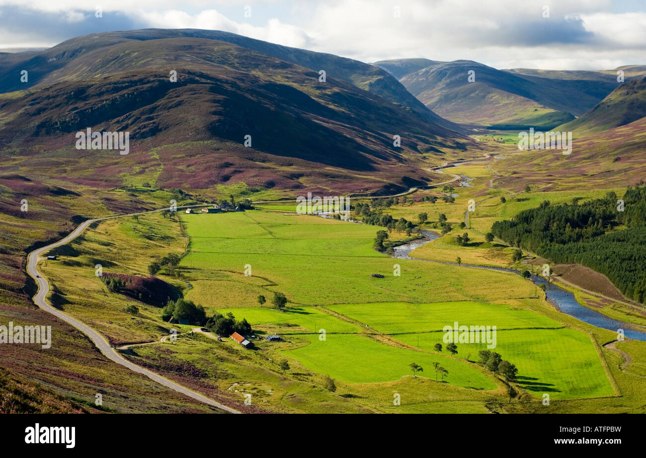 Forest of clunie hi-res stock photography and images - Alamy