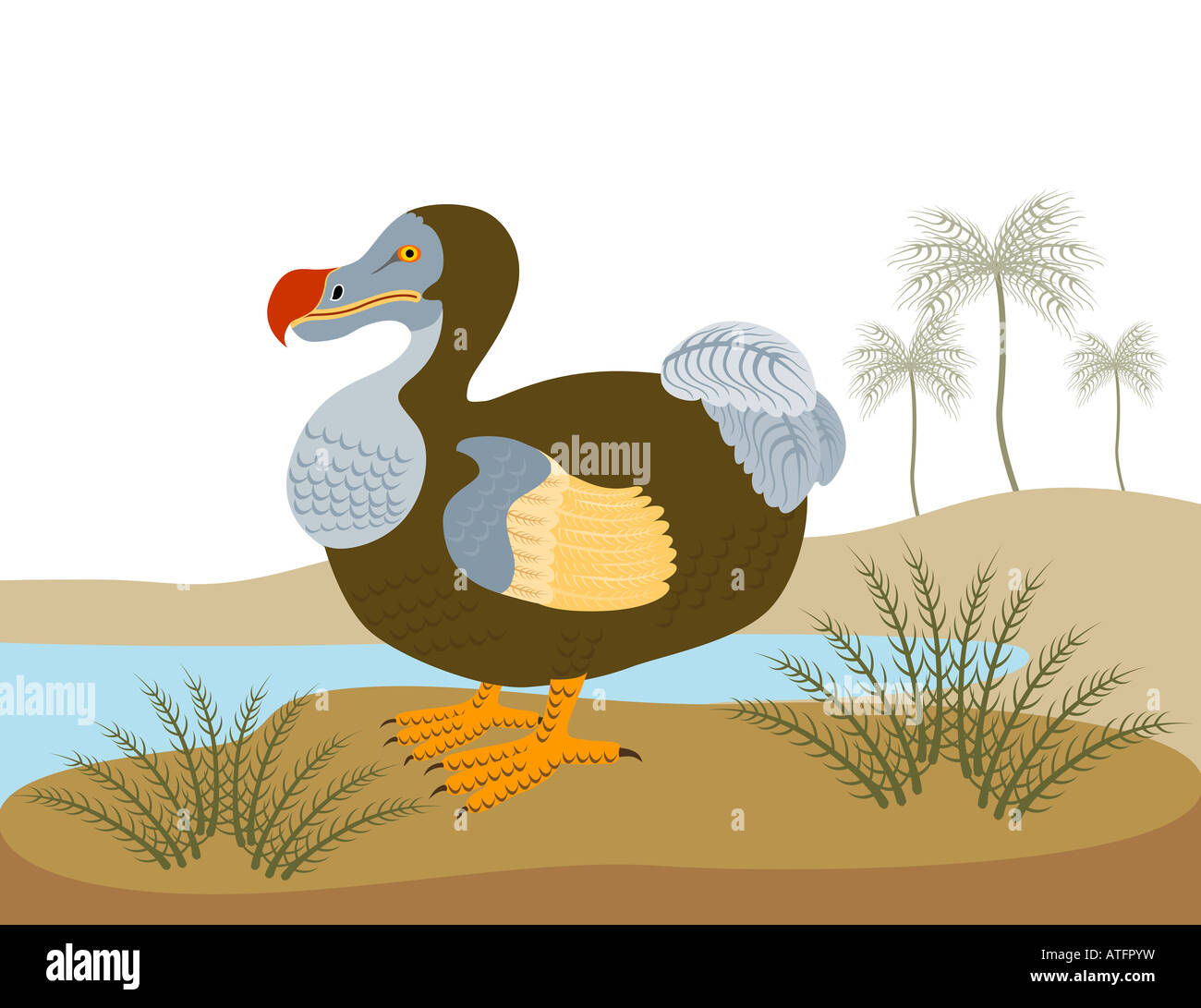 Dodo bird hi-res stock photography and images - Alamy