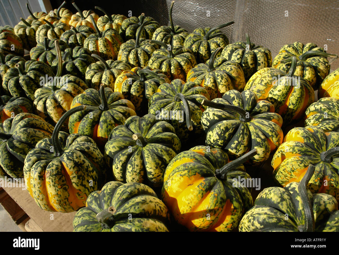 Prydnadspumpa hi-res stock photography and images - Alamy