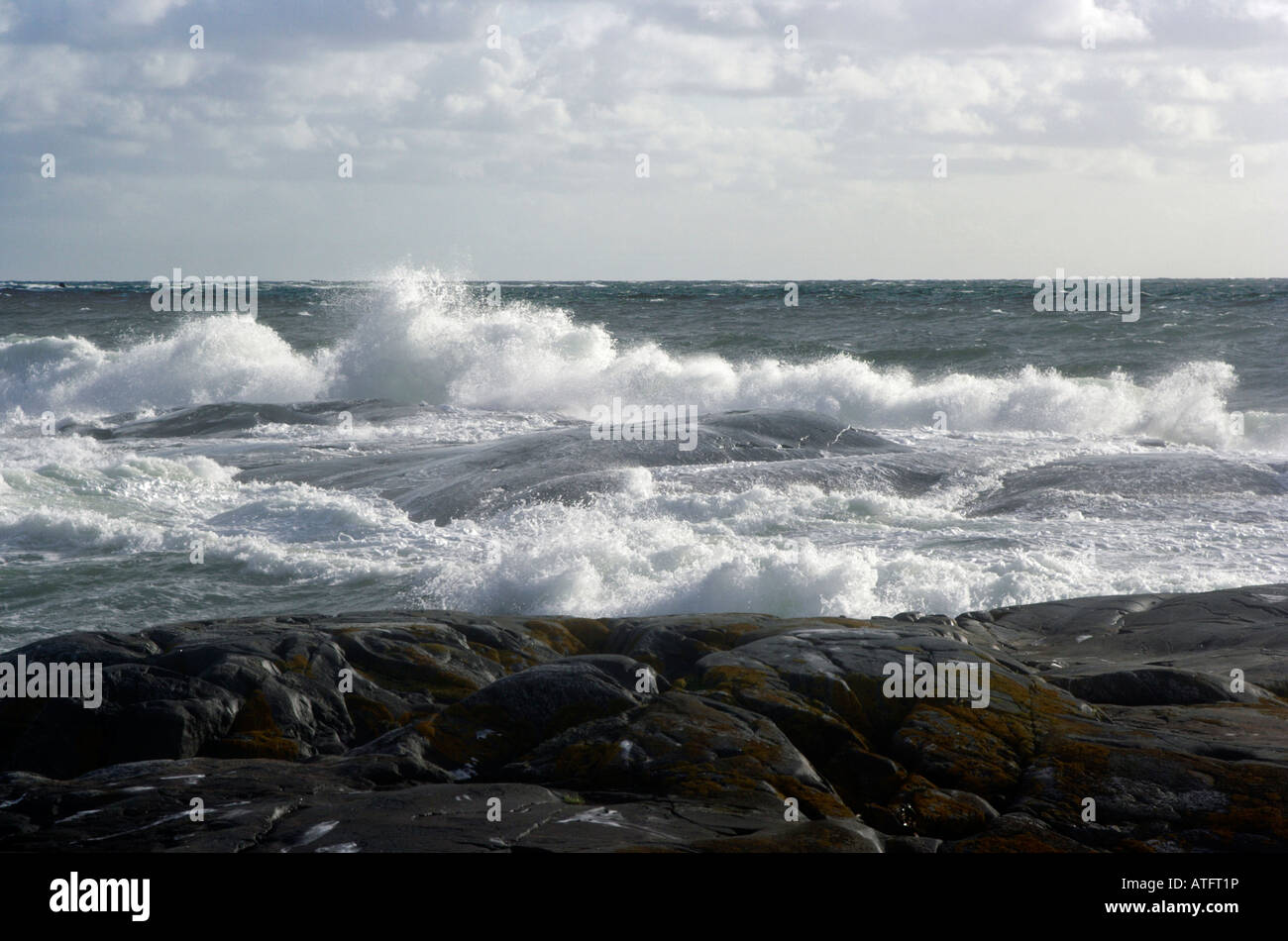 Gale over the sea Stock Photo - Alamy