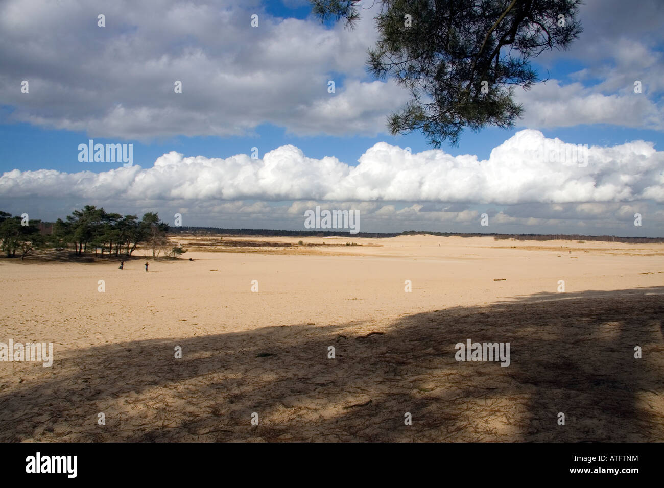 Drunen dunes hi-res stock photography and images - Alamy