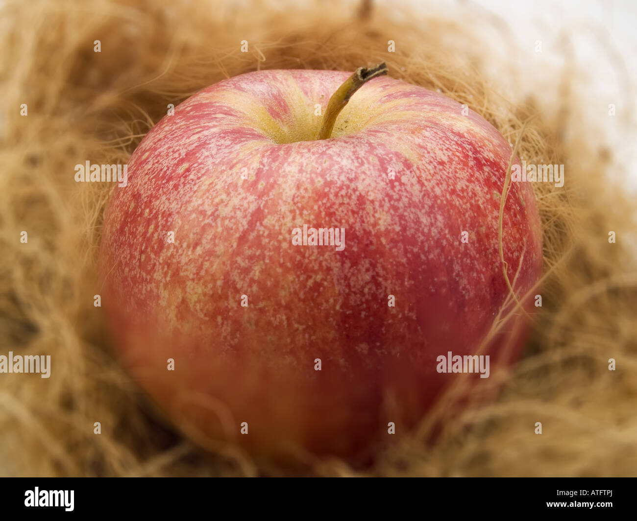 Red apple in a kitchen Stock Photo - Alamy