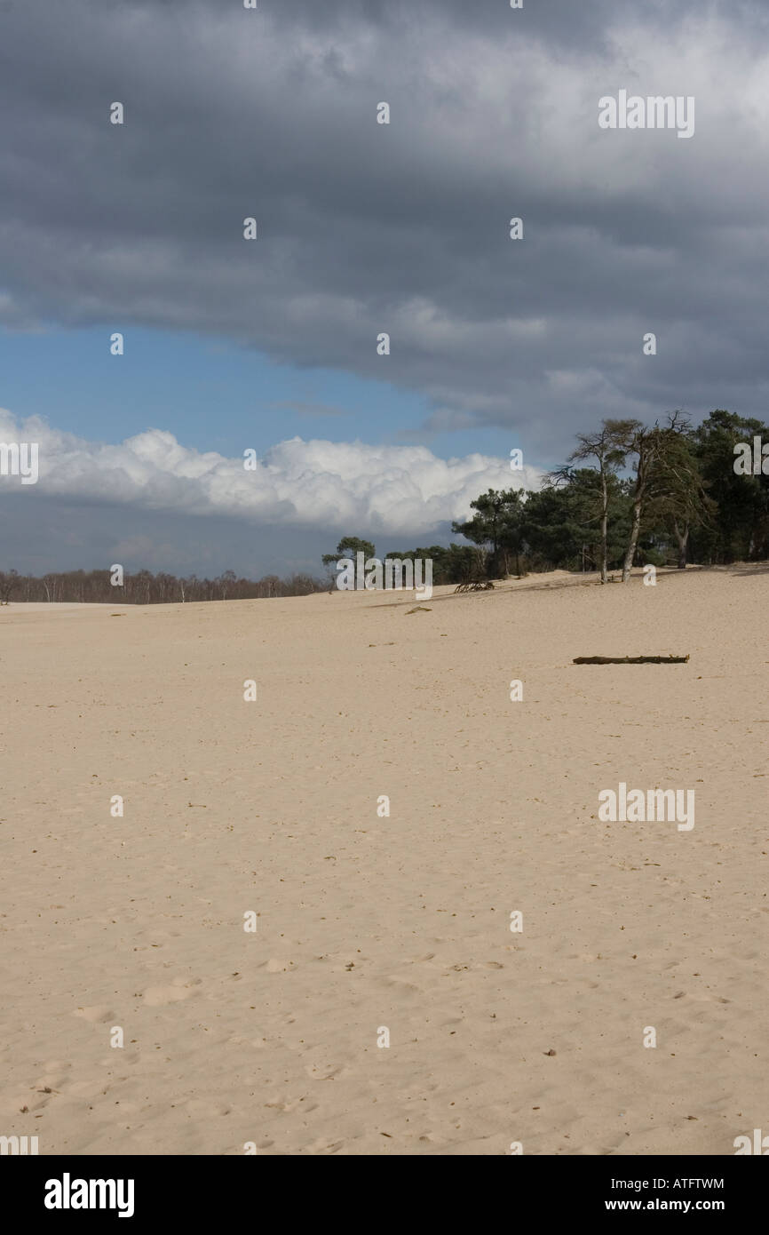 Drunen dunes hi-res stock photography and images - Alamy