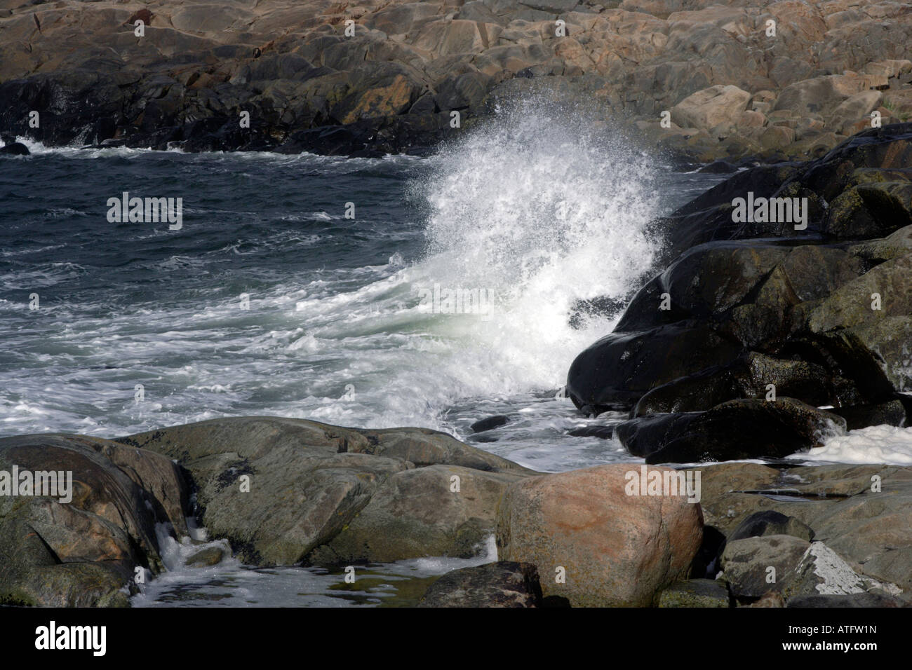 Gale over the sea Stock Photo - Alamy