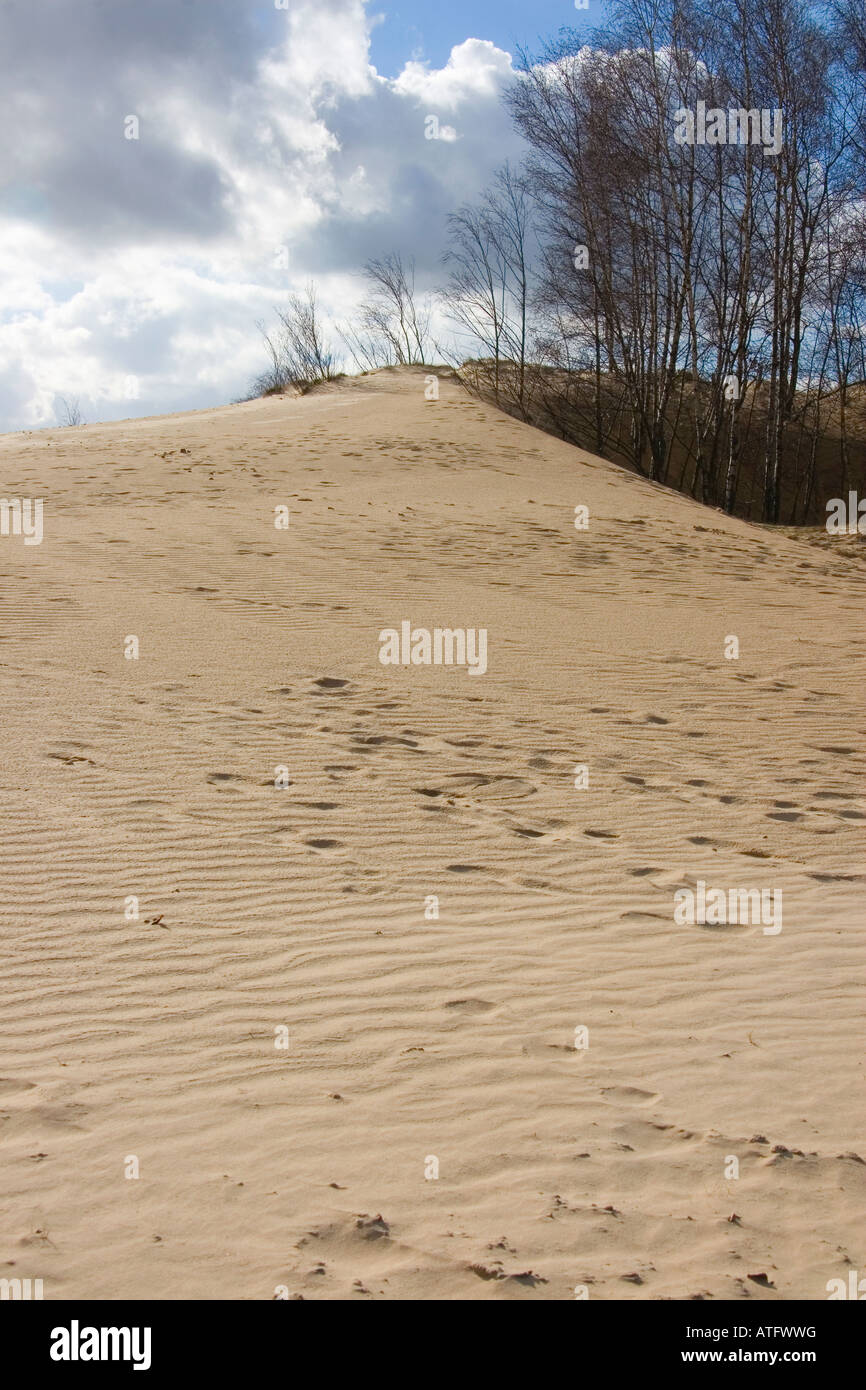 Drunen dunes hi-res stock photography and images - Alamy