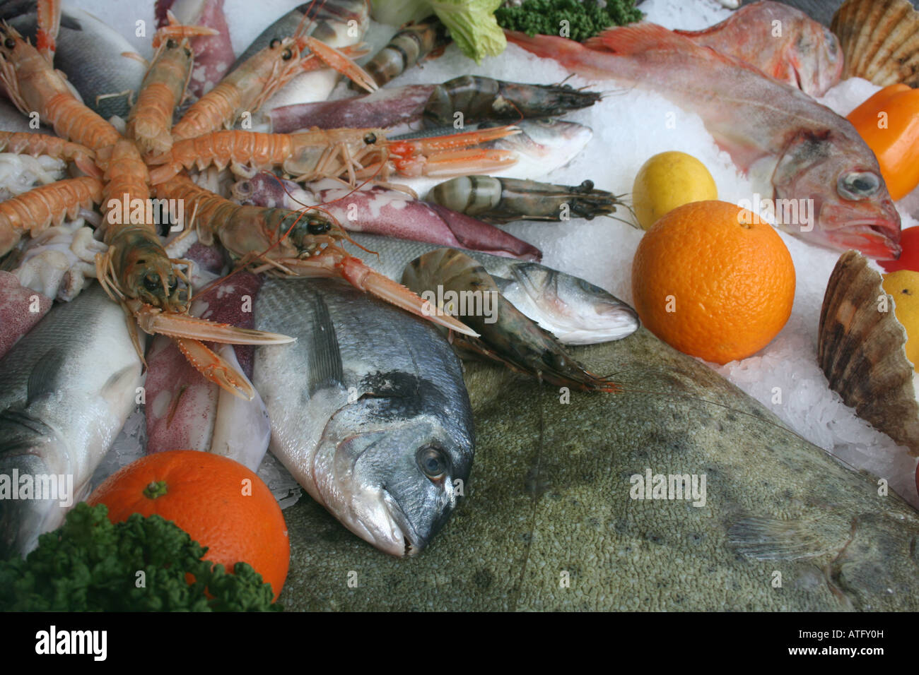 Beautiful seafood on the ice Stock Photo - Alamy