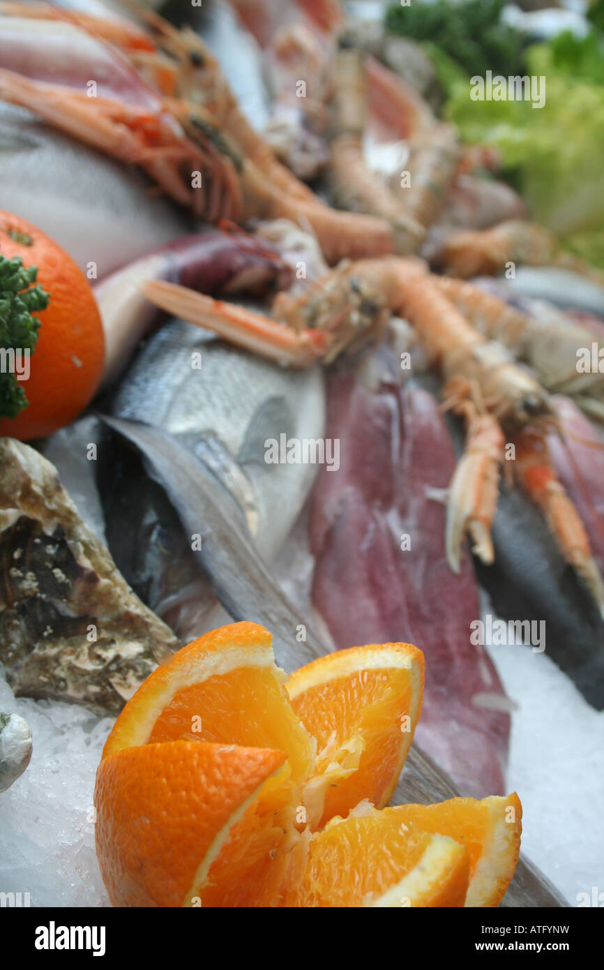 Beautiful seafood on the ice Stock Photo - Alamy