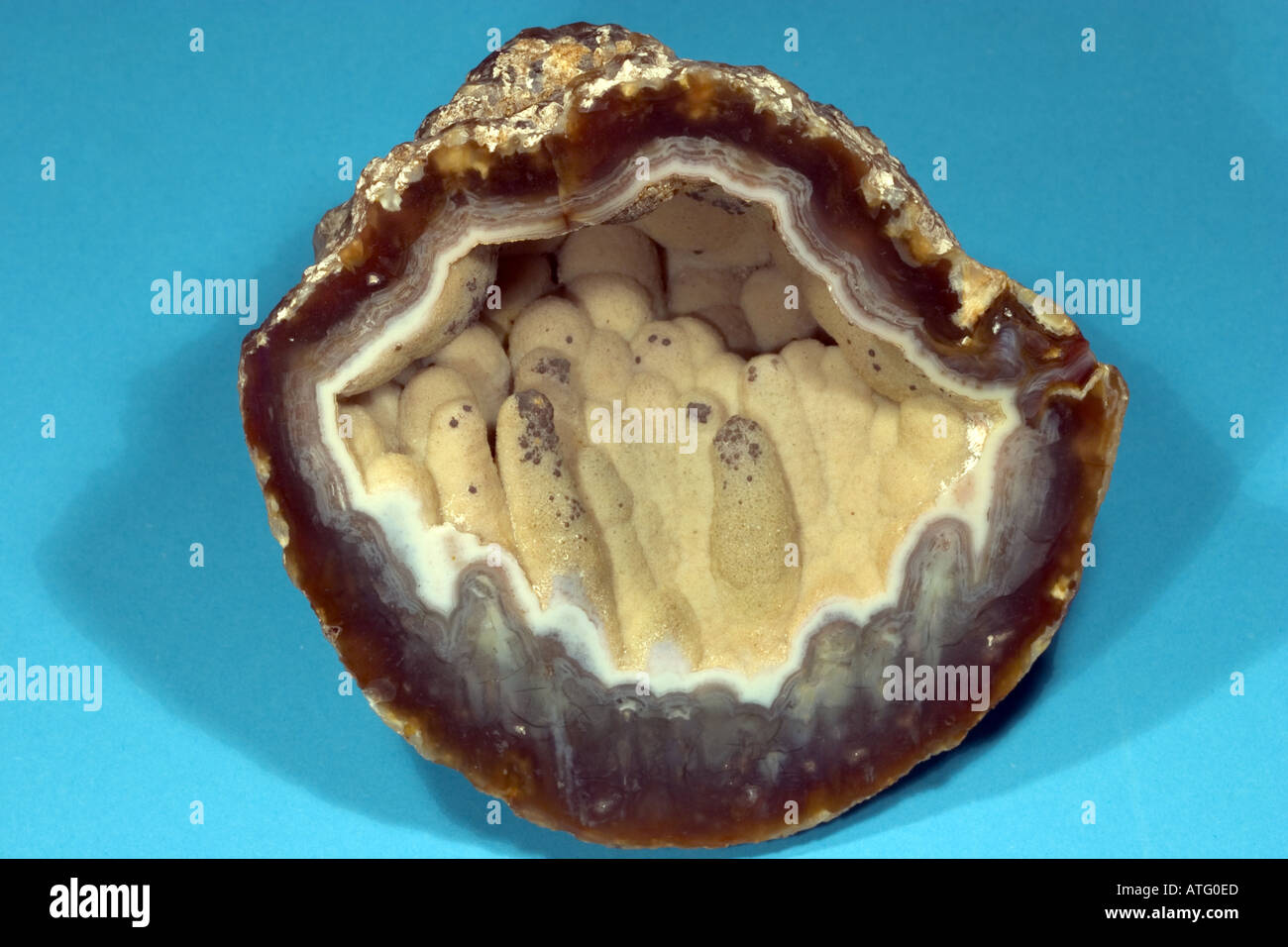 Banded agate ring hi-res stock photography and images - Alamy
