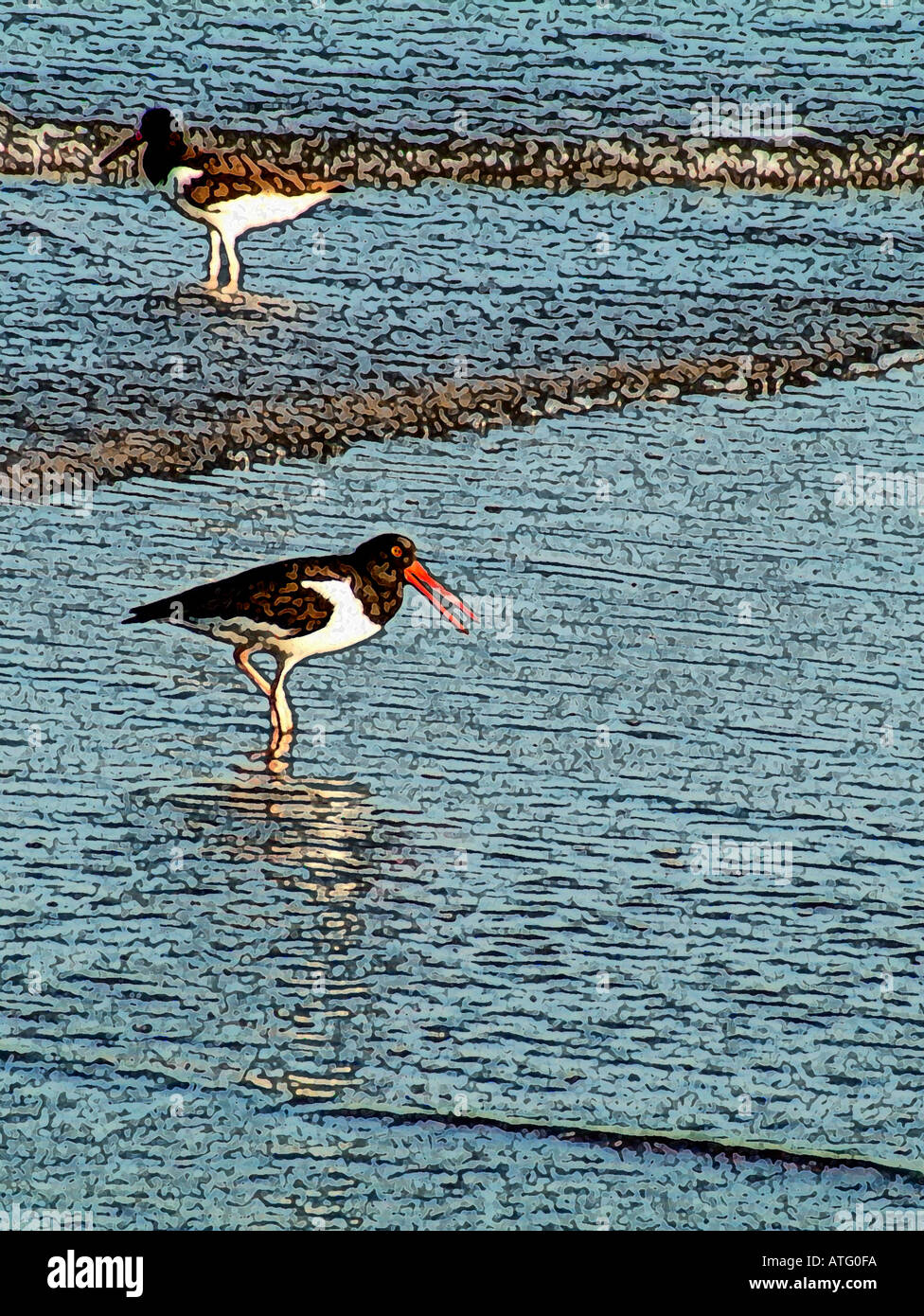 Artistic Rendering Birds in Surf Stock Photo - Alamy